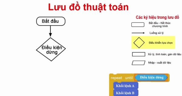 Lưu đồ thuật toán là gì? Cách vẽ lưu đồ thuật toán